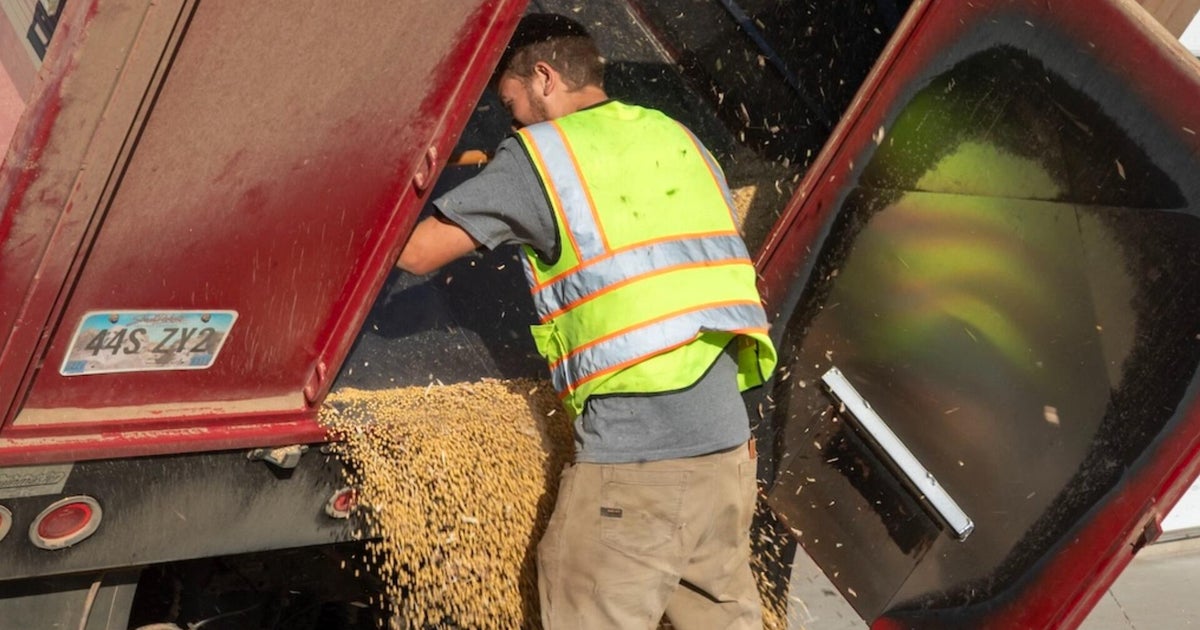 Iowa farmers' incomes to decline amid trade war, no farm bill ...