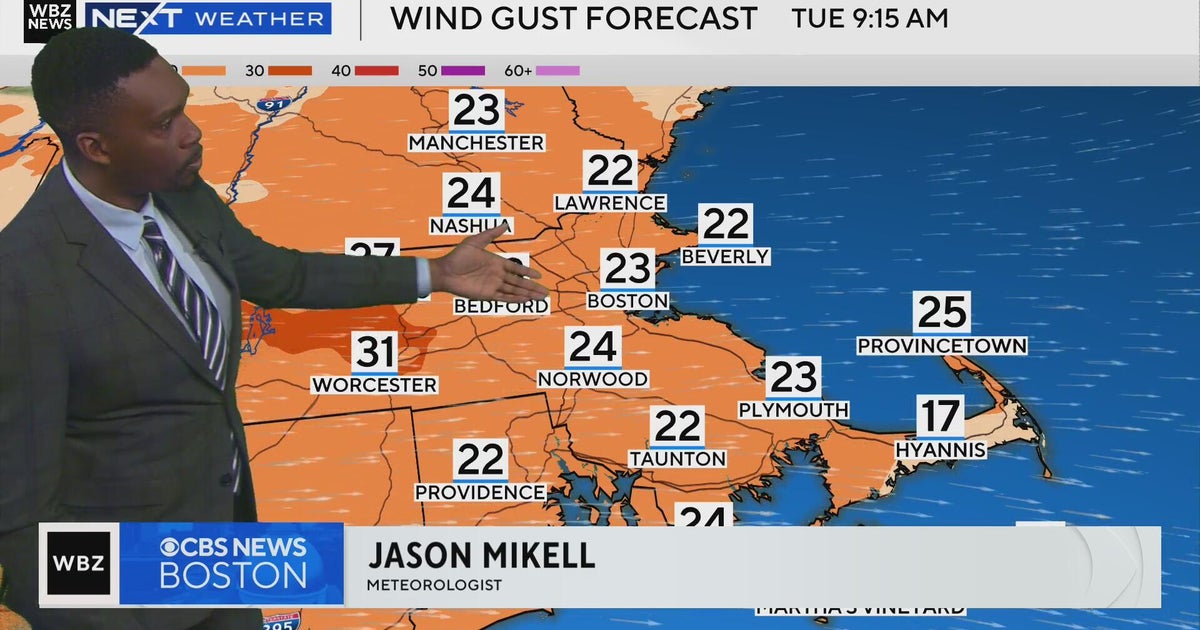 Next Weather: WBZ morning forecast for November 11, 2025 - CBS Boston