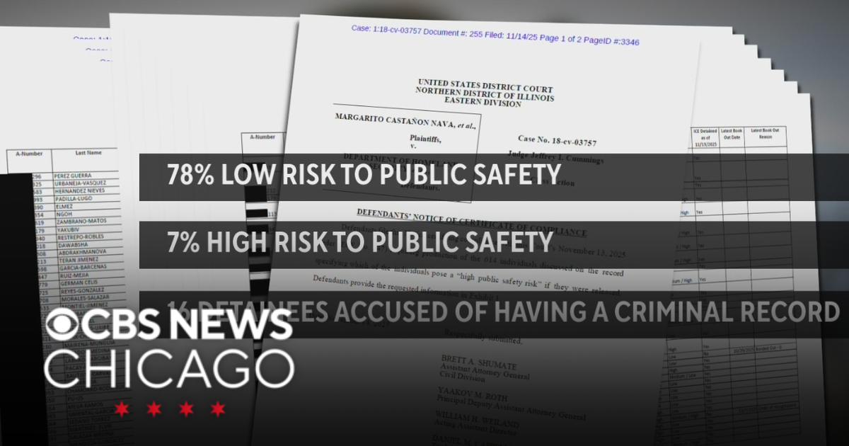 16 out of 607 detained by DHS had criminal histories, documents show ...