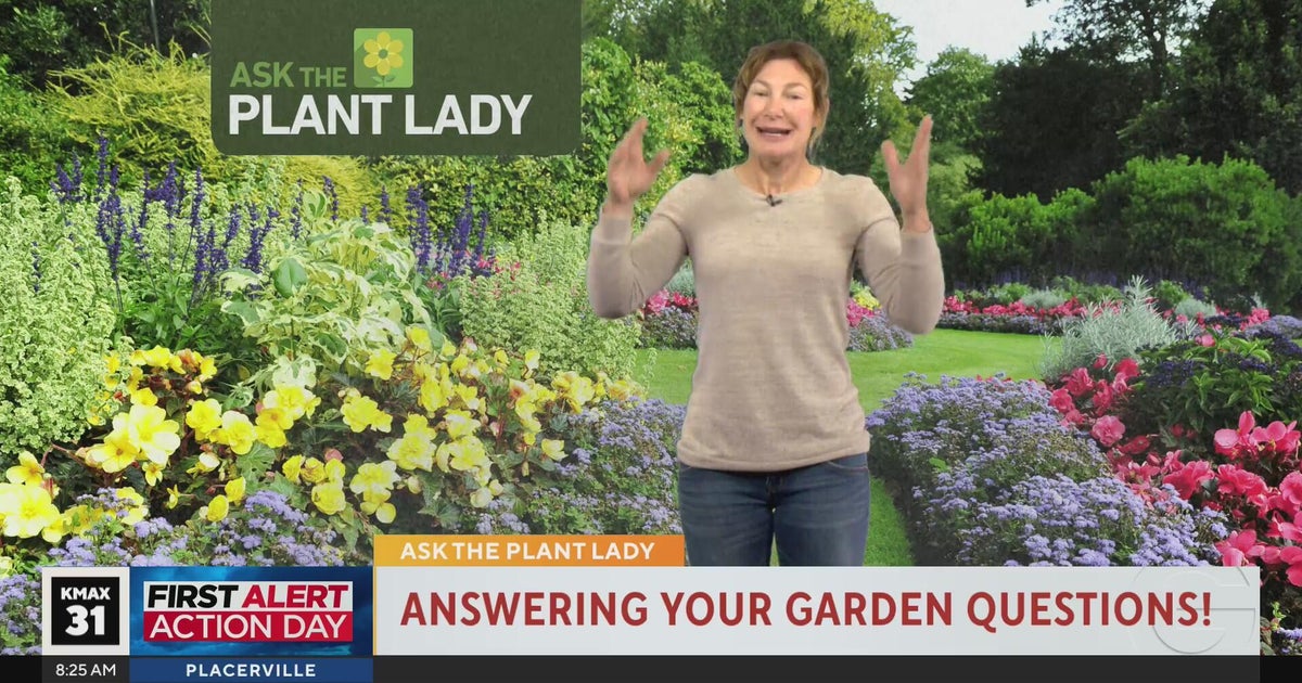 The Plant Lady (pt. 1) 8am 11-16-25 - Good Day Sacramento