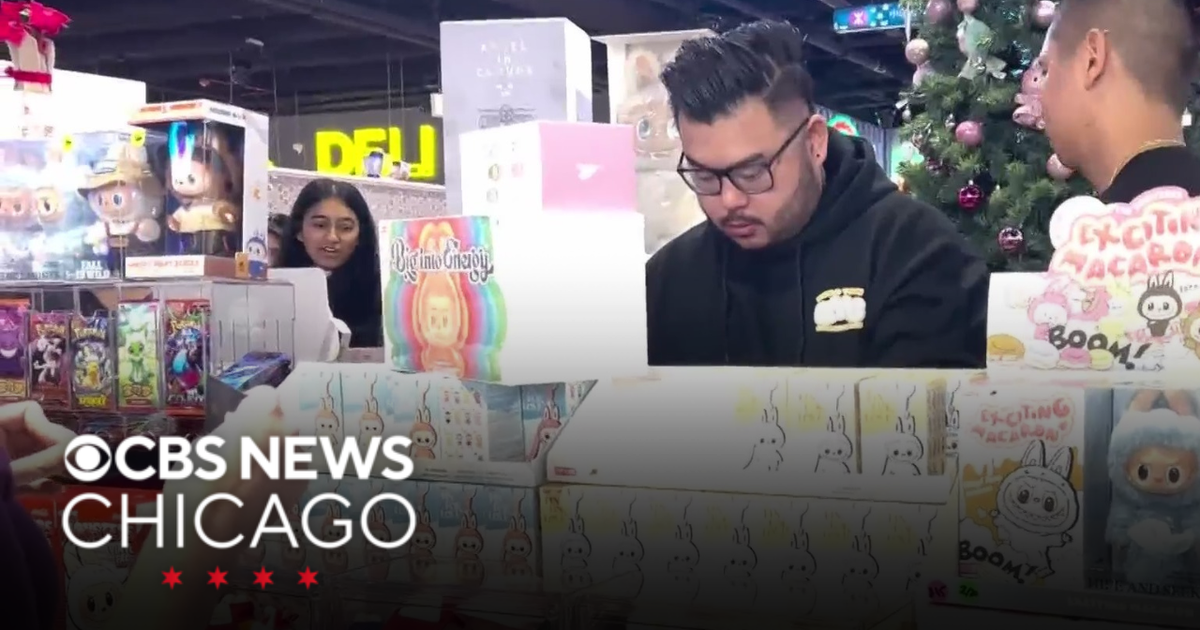 Labubu pop up takes over West Town - CBS Chicago