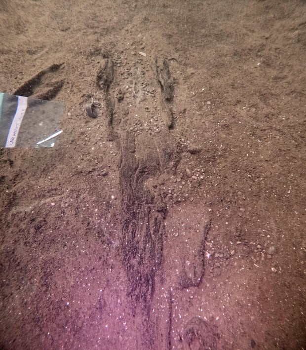 Ancient canoes found in Wisconsin lake were like modern-day e-bike rack, archaeologists say ...