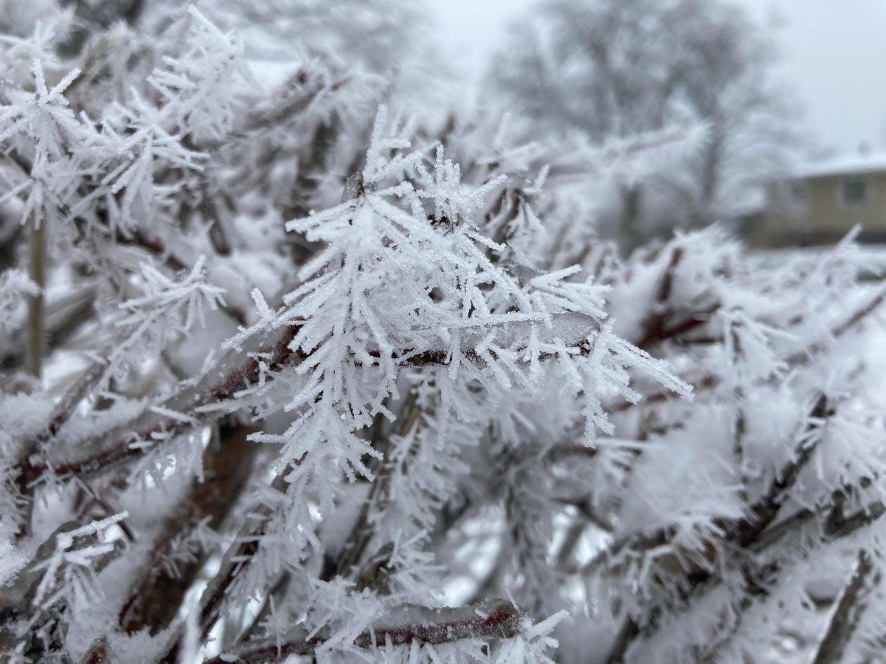 What is freezing fog? Here's what's behind a first-of-its-kind advisory ...
