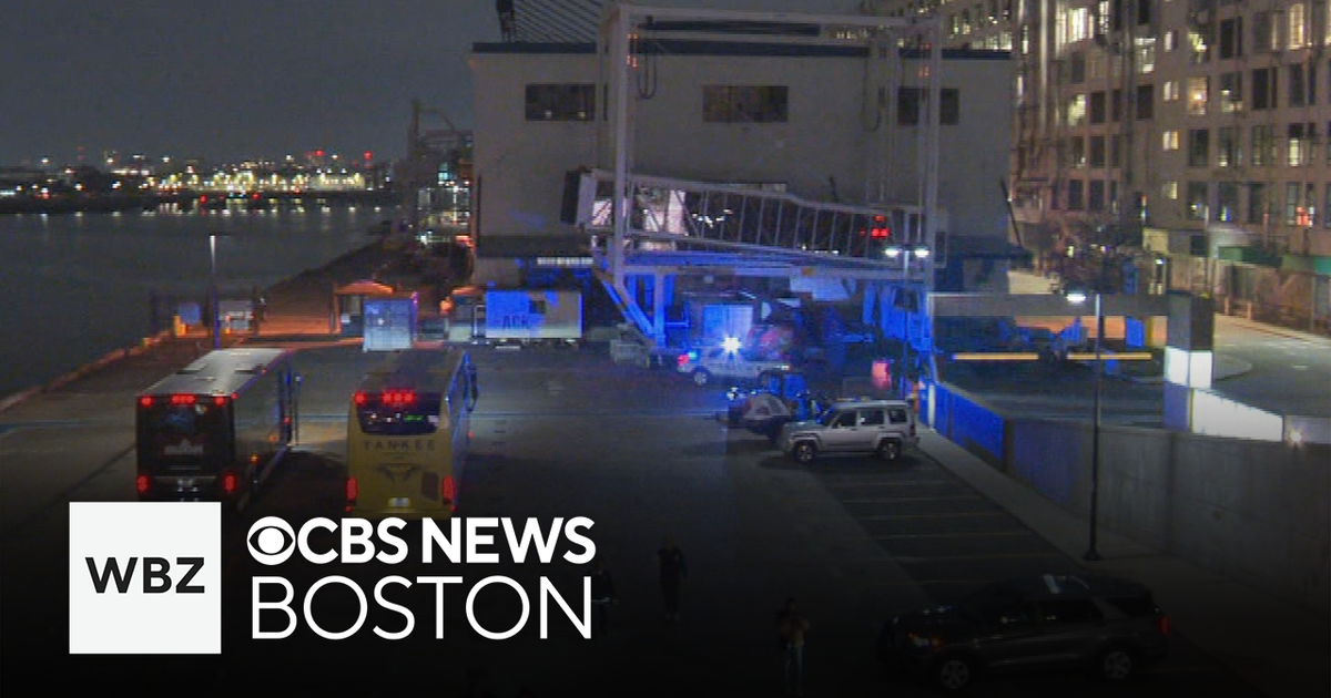 Possible human skull found near Black Falcon Pier in Boston - CBS Boston