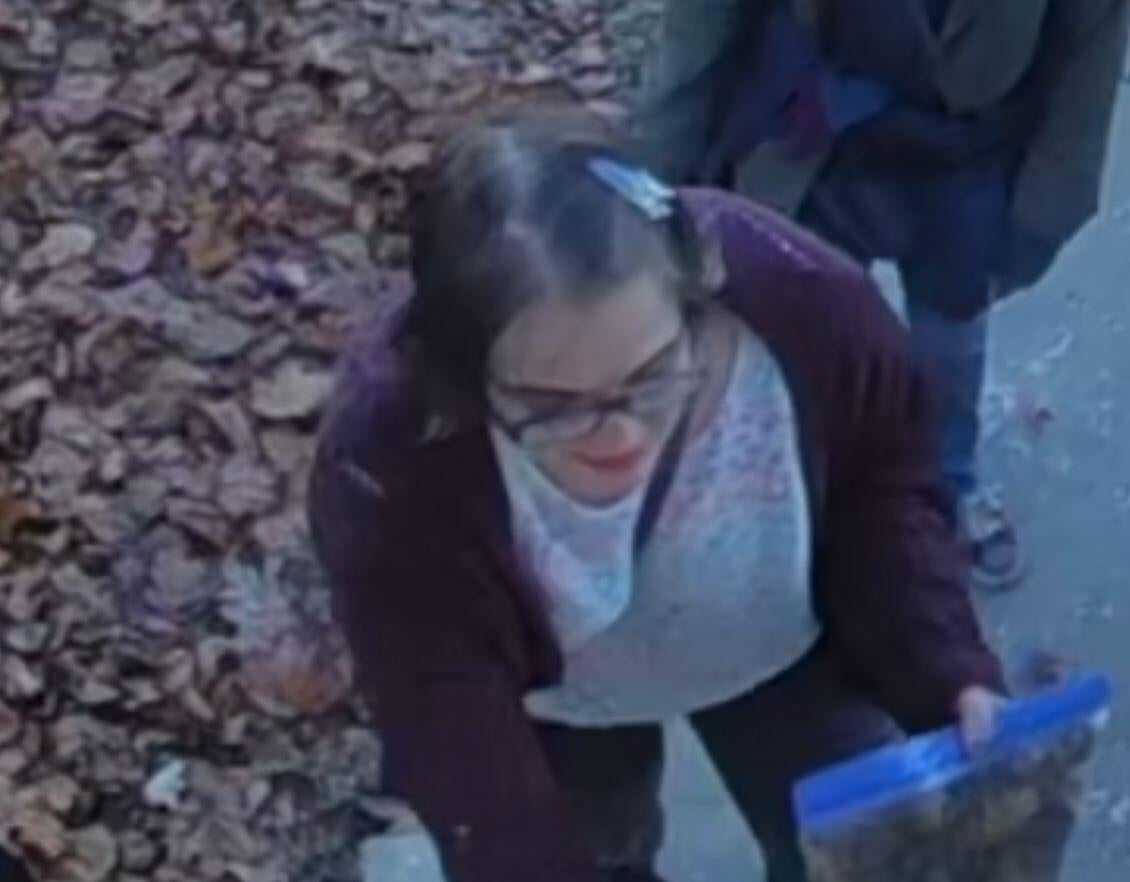 Wisconsin woman who stabbed classmate to please Slender Man caught ...