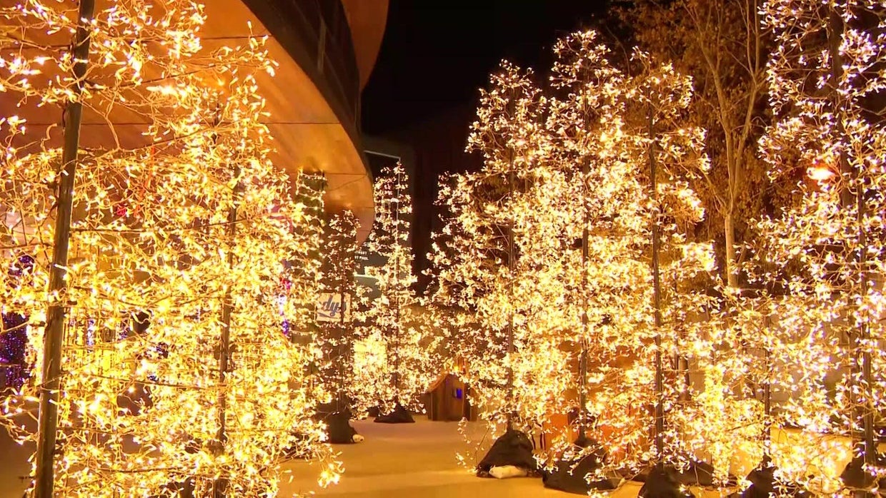 Minnesota's 2025 holiday lights season is underway. Here are some ...