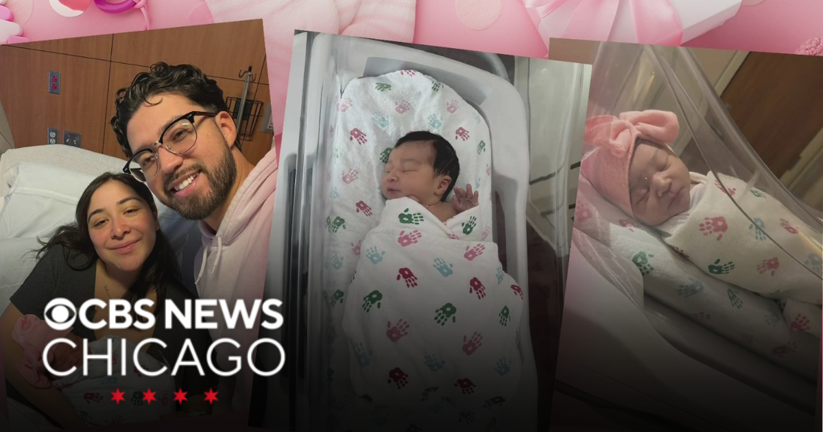 Meet the newest addition to the CBS Chicago family - CBS Chicago