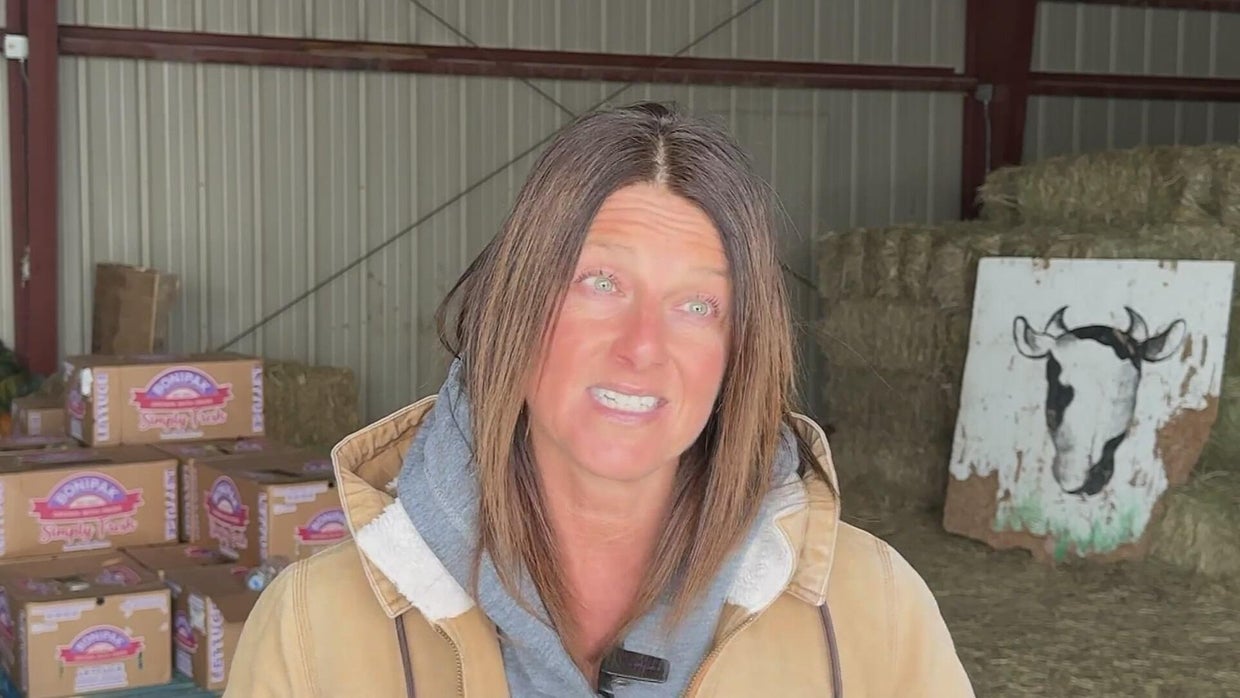 Colorado cow sanctuary robbed of $20k in equipment, sheriff's office ...