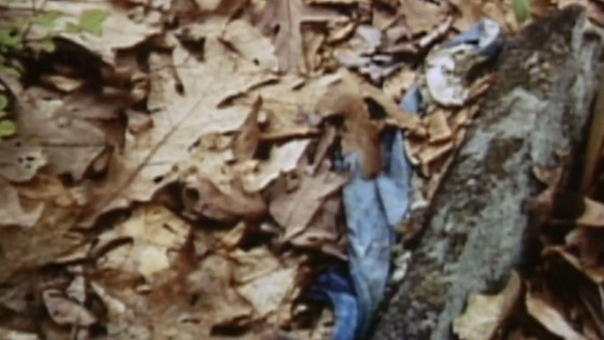 Molly Bish case gets a fresh look 25 years after Massachusetts teen's ...