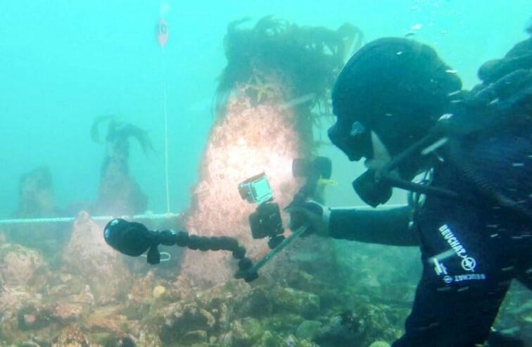 Divers discover massive 7,000-year-old undersea wall off coast of ...