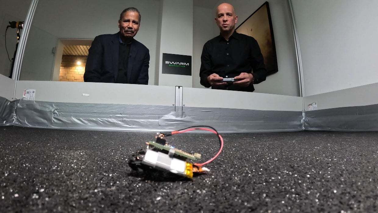 Cockroaches, fitted with tiny backpacks, could be part of the future of ...