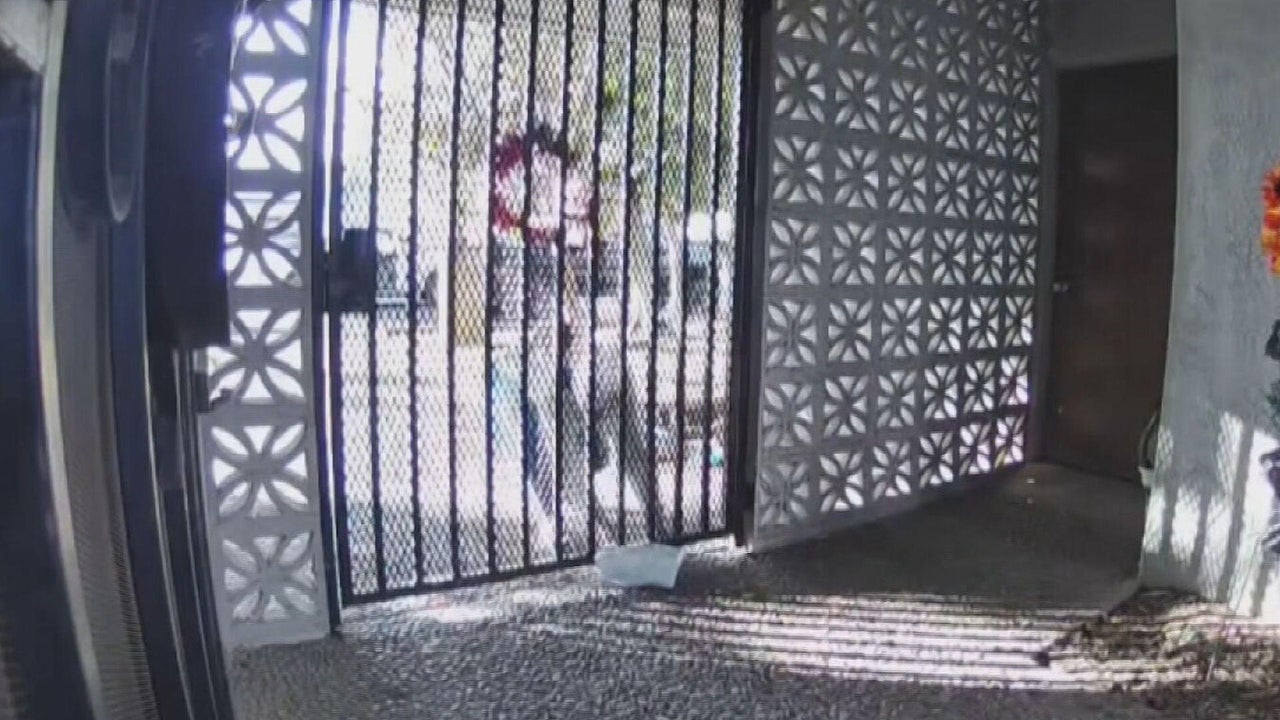 Porch Pirate news - Today’s latest updates - CBS Philadelphia