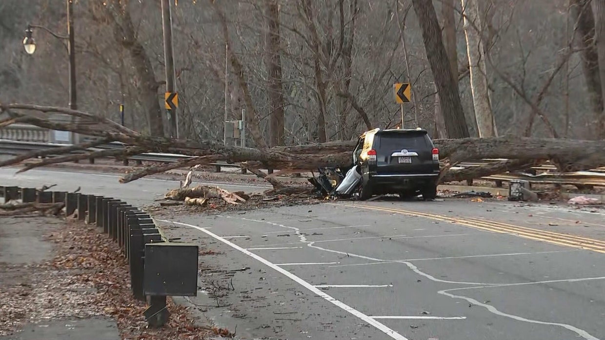 2 rescued after tree falls on SUV in Roxborough, Philadelphia fire ...