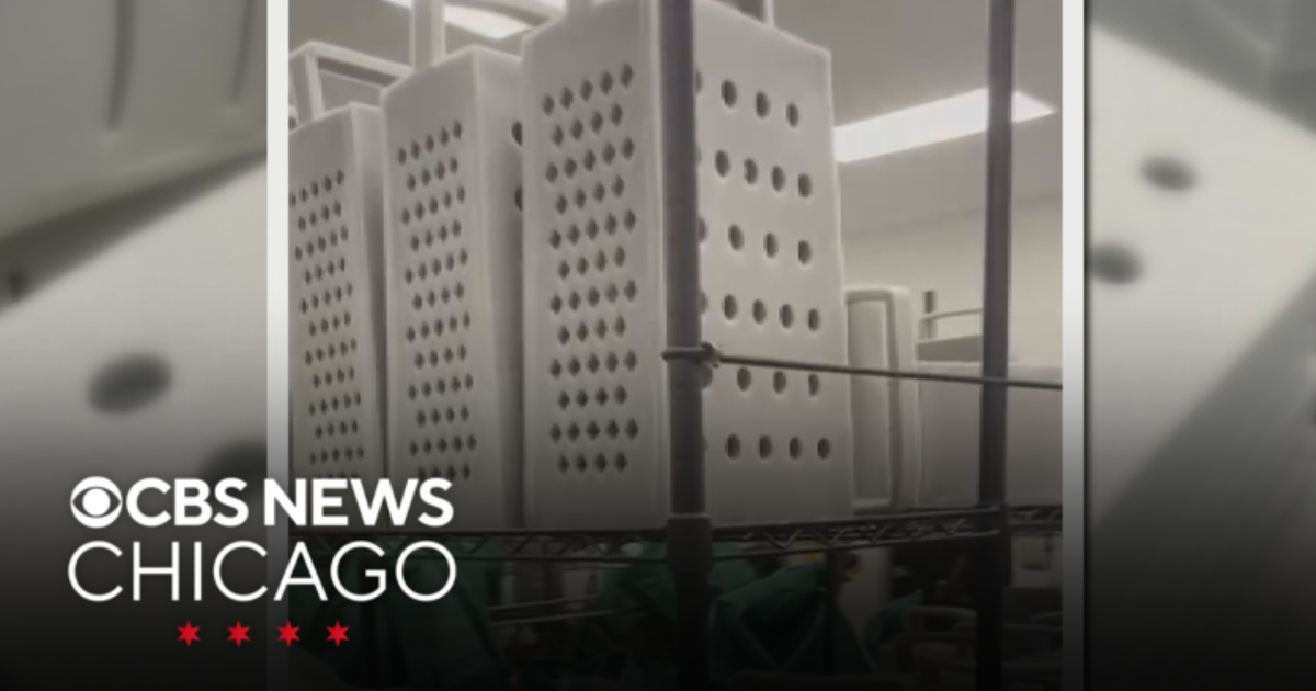 Demand for cheese grater foam hats grows after Bears win over Packers ...