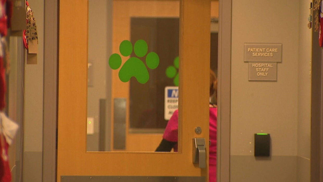 Good Samaritan gives back with donations to Colorado animal hospital ...