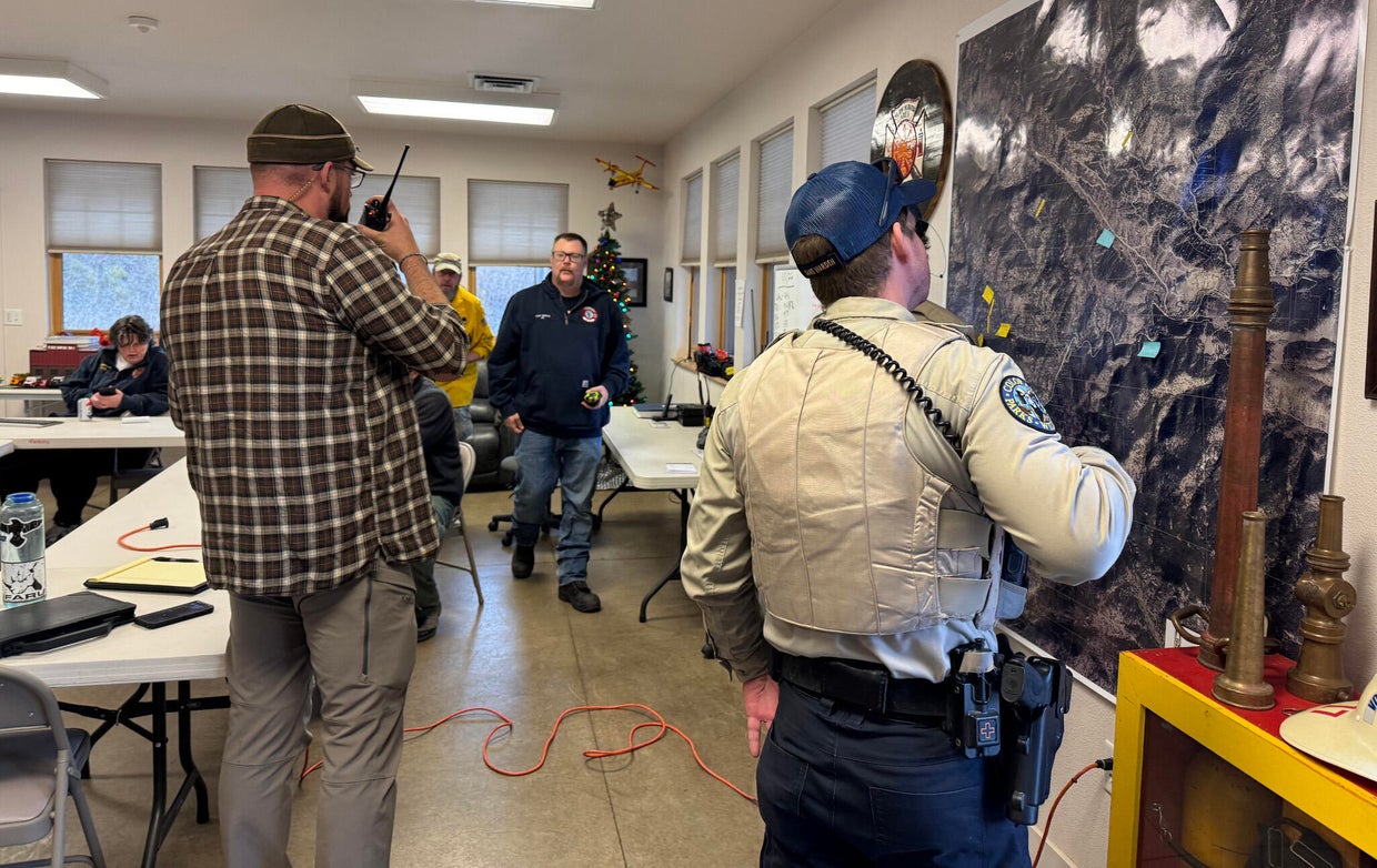 Search ongoing for a third mountain lion in Northern Colorado after ...