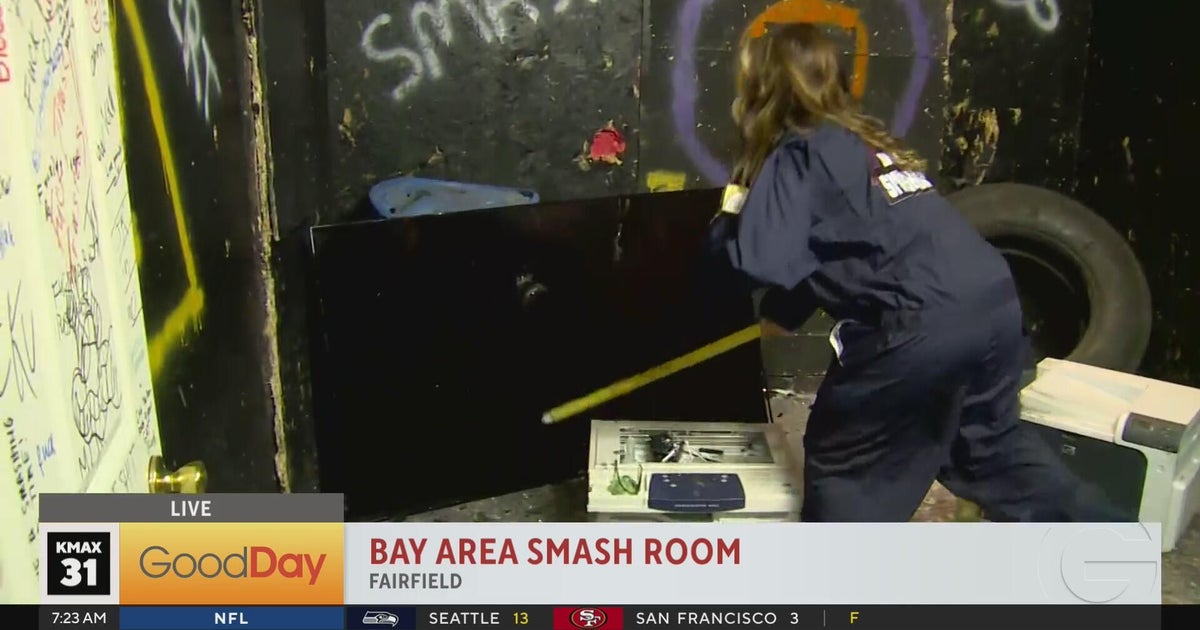 Bella Smashes Some Stuff - Good Day Sacramento