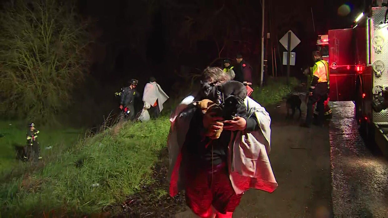 5 people, 3 dogs rescued near Galt as waterways swell from rain - CBS ...