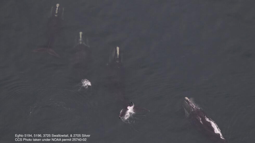 Cape Cod news - Today’s latest updates - CBS Boston