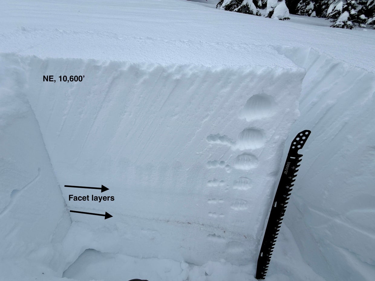 Avalanche incidents in Colorado's backcountry offer key lessons as ...