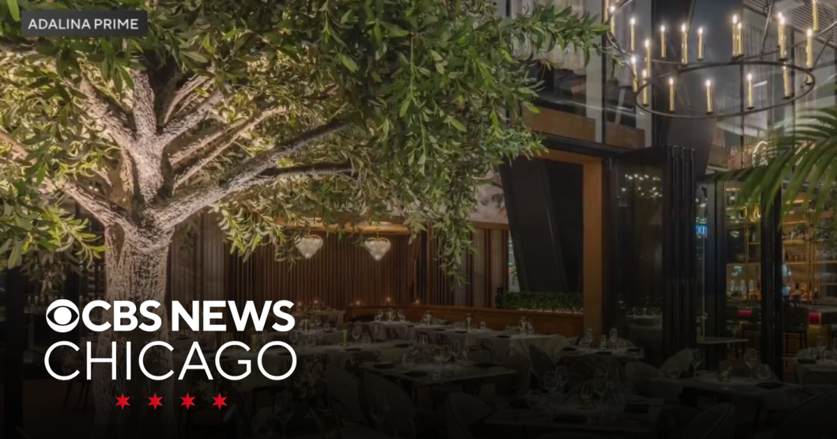 2 Chicago restaurants rank "Most Beautiful New Restaurants in America ...