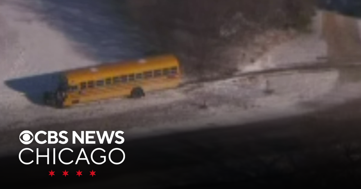 Driver killed in crash involving school bus near Manhattan, Illinois ...