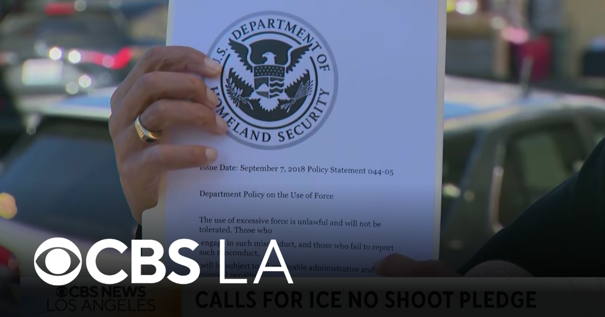 Los Angeles activists call on ICE to curb violence - CBS Los Angeles