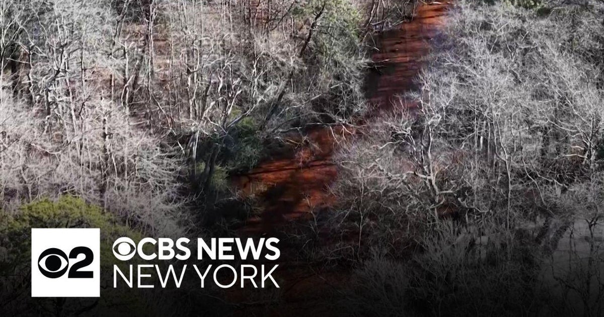 Long Island residents not giving up on orange creek cleanup - CBS New York