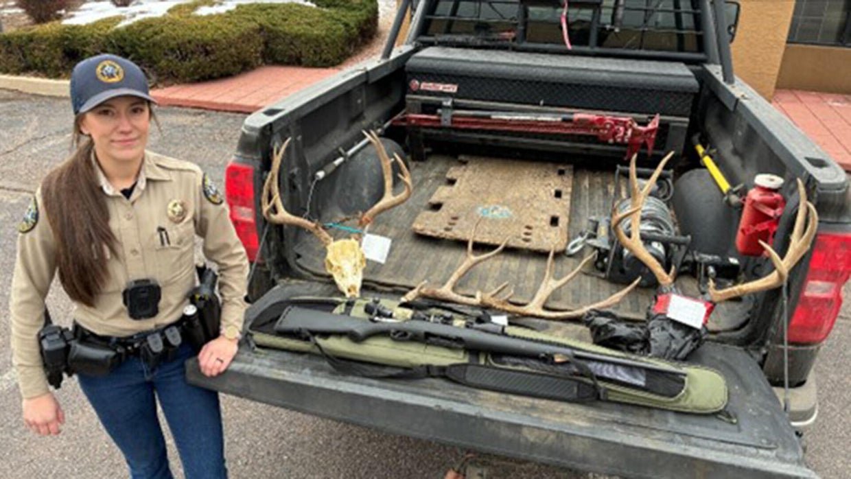3 soldiers fined in southern Colorado poaching case that involved deer ...