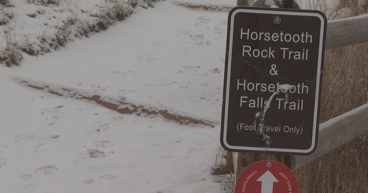 Horsetooth Mountain Open Space reopens after mountain lion encounter ...
