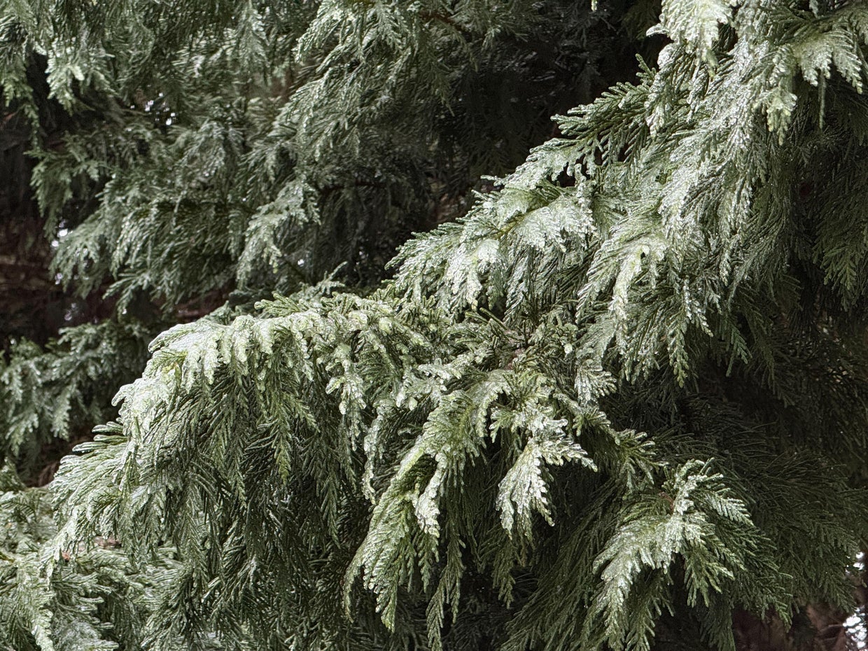 Winter storm updates: Officials urge caution with dropping temperatures ...