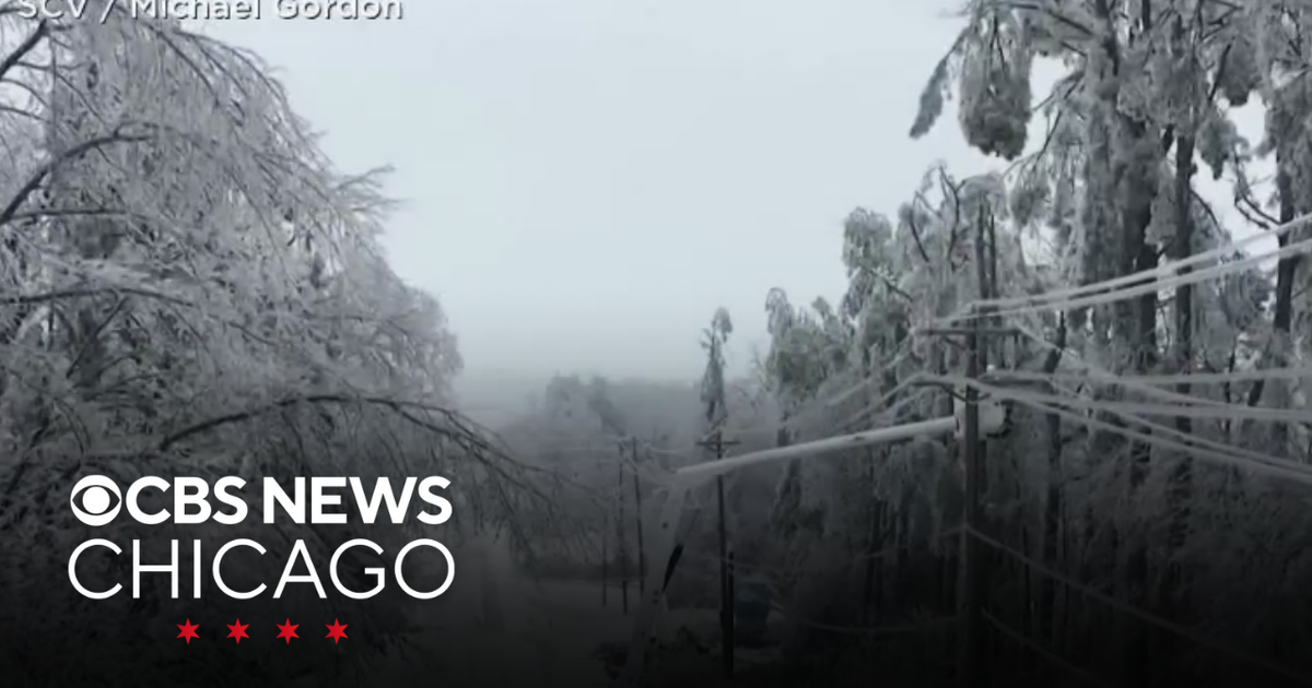 Massive winter storm hits much of U.S. - CBS Chicago