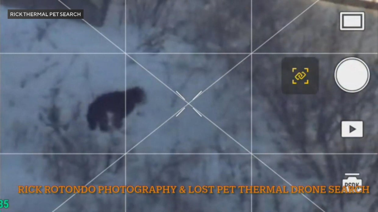 Thermal drone pilot helps find missing Fishtown dog, Benji, who ran ...