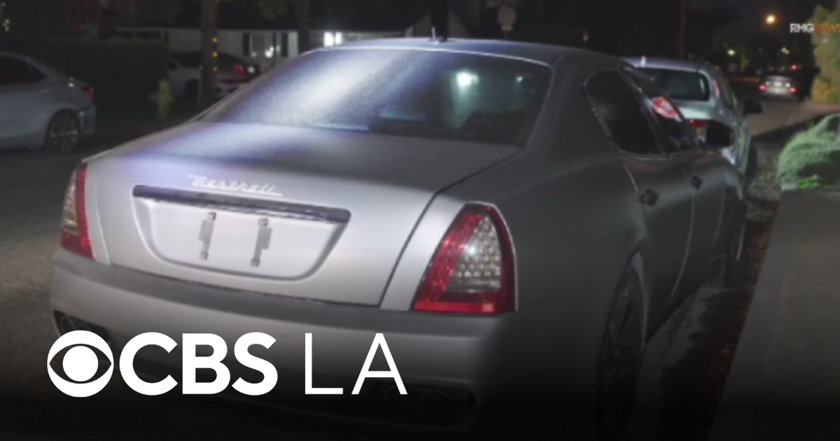 Sherman Oaks hit-and-run leaves man, dog dead - CBS Los Angeles