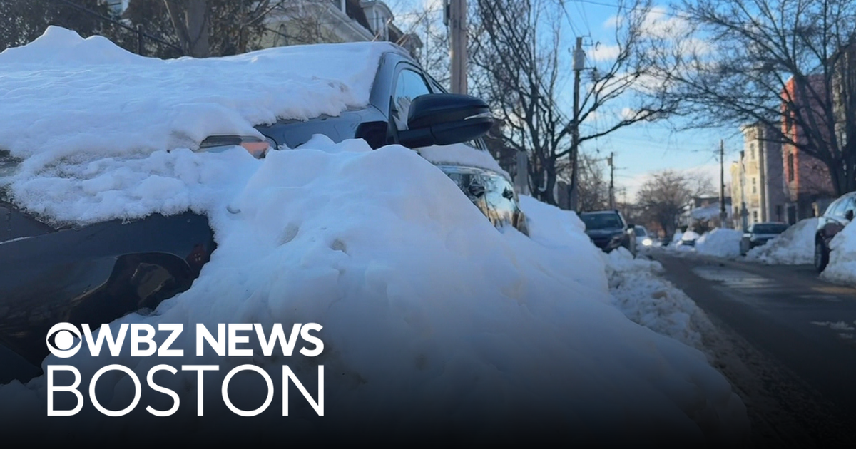 Cars remain buried in snow days after storm in Cambridge - CBS Boston