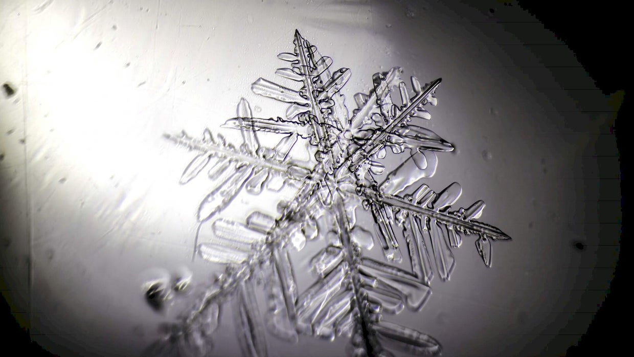 Why is snow white? | Hey Ray - CBS Pittsburgh