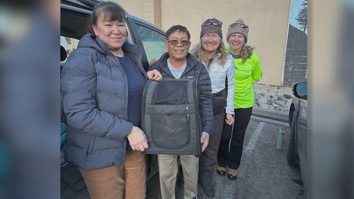 Cat lost in blizzard conditions after Colorado crash found by volunteer ...