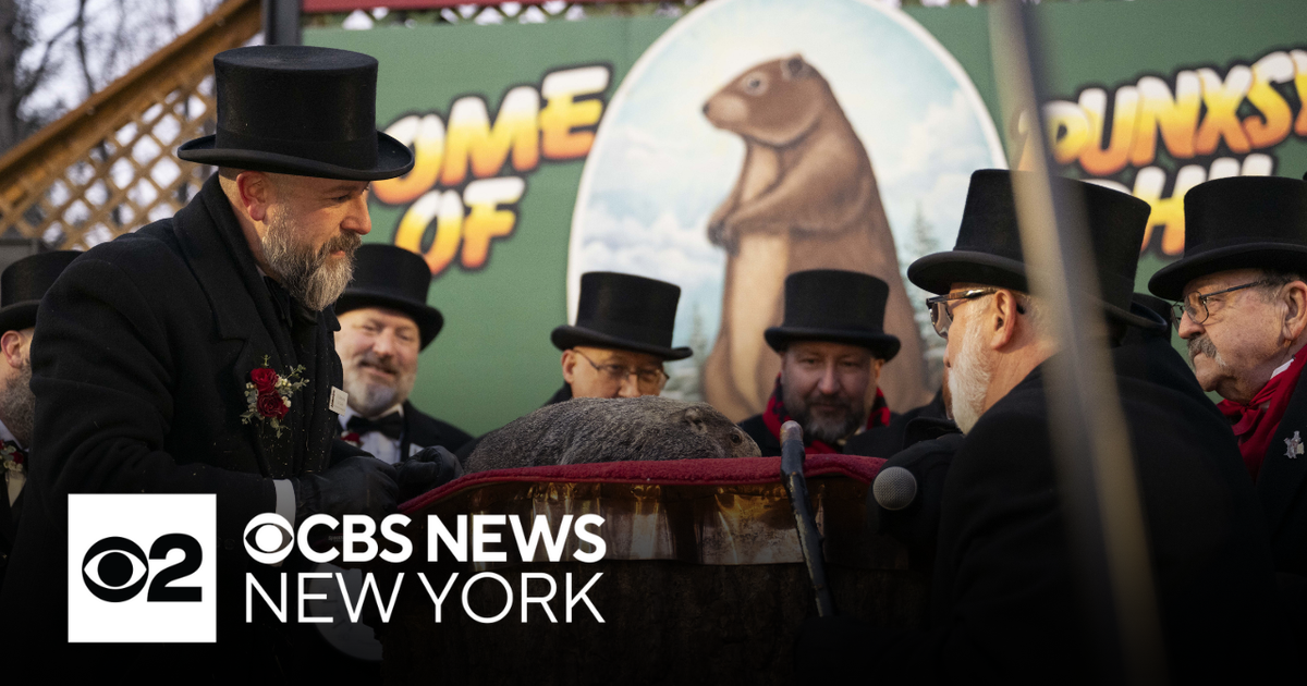 Legendary Punxsutawney Phil will predict the weather during Groundhog ...