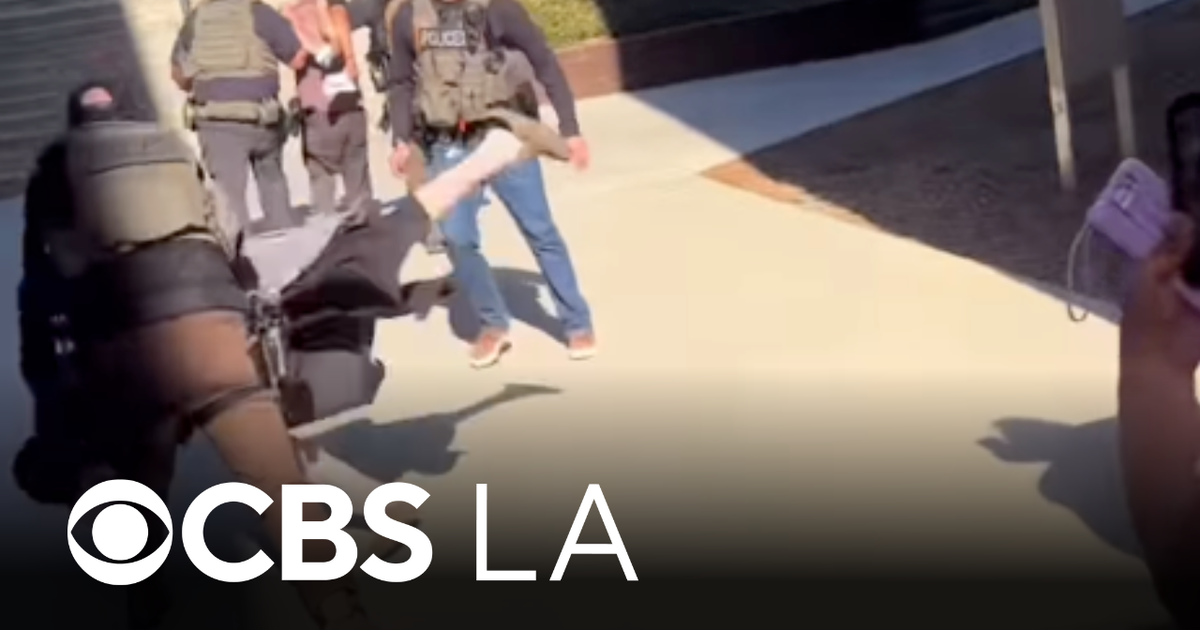 Video shows immigration agents clashing with protesters in Ventura ...