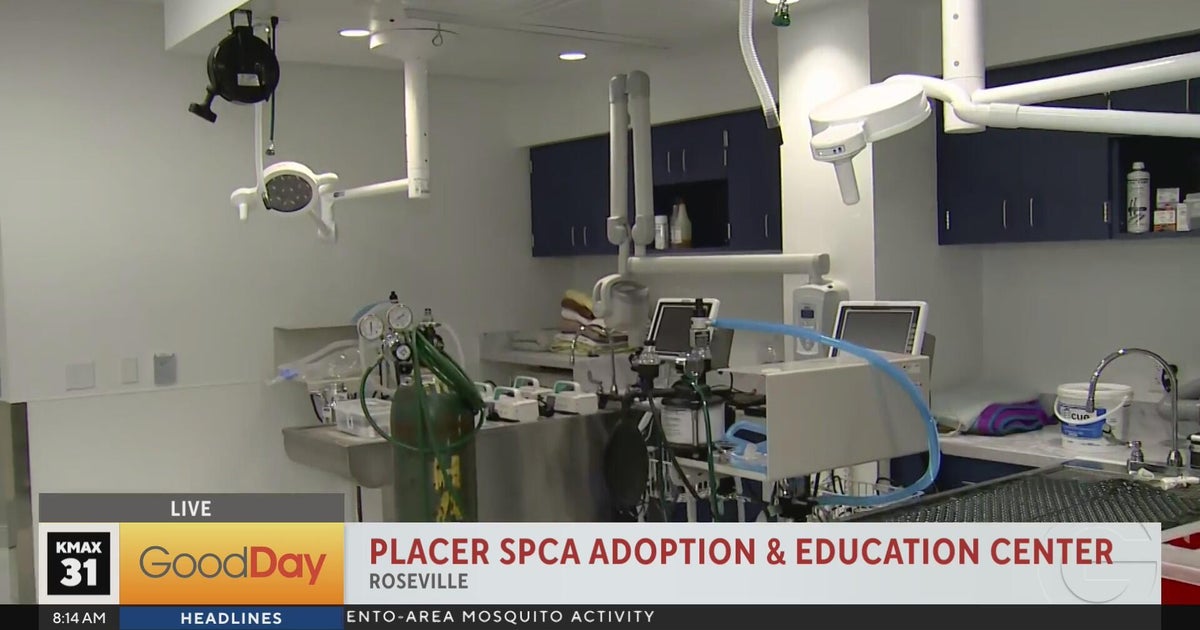 Placer SPCA celebrates the grand opening of its new adoption ...