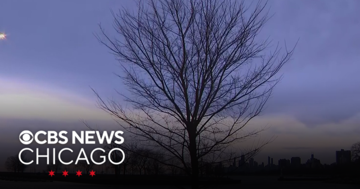 Smelled something foul in the air lately? Experts say it could be due ...