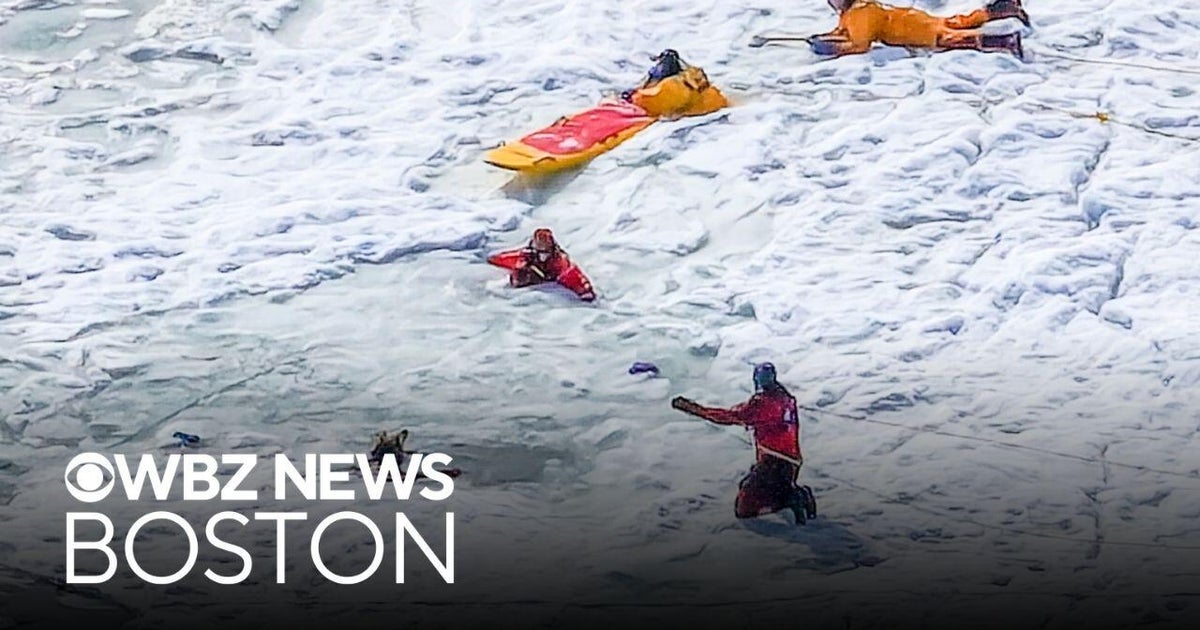 Woman in Eastham dies after falling through icy river, officers fall in ...
