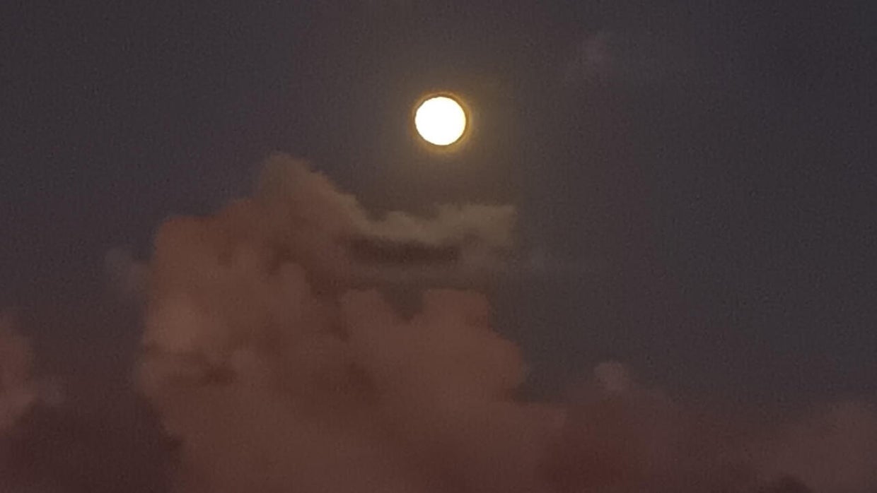 Blood moon during lunar eclipse gives South Florida a beautiful show ...