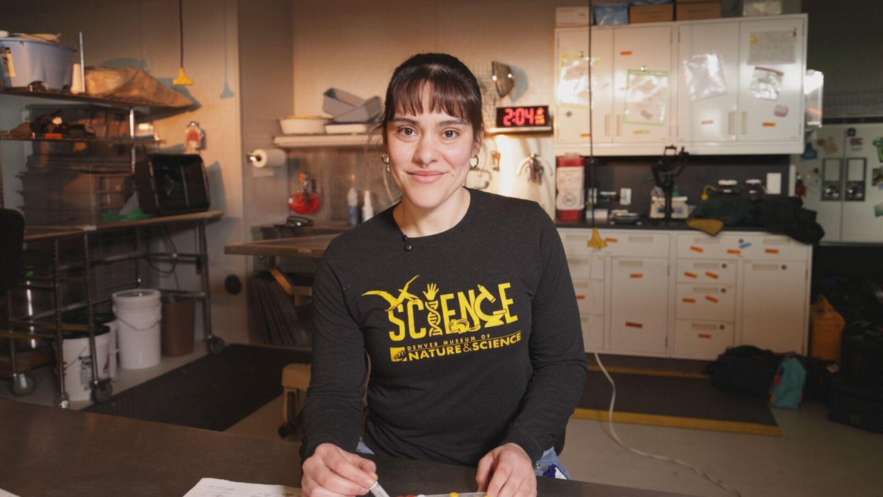 Denver zoology preparator who deals with "all the squishy bits" hopes ...