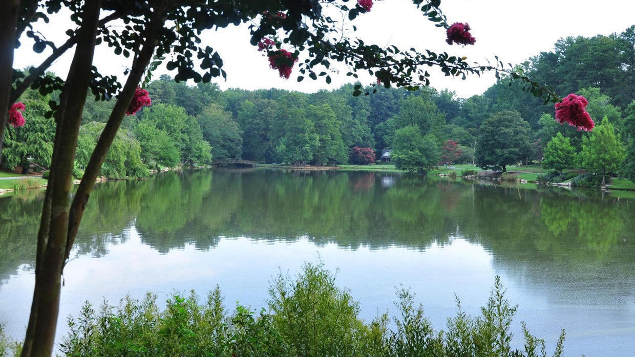 Police investigating decapitated birds found in bags floating on Lake ...
