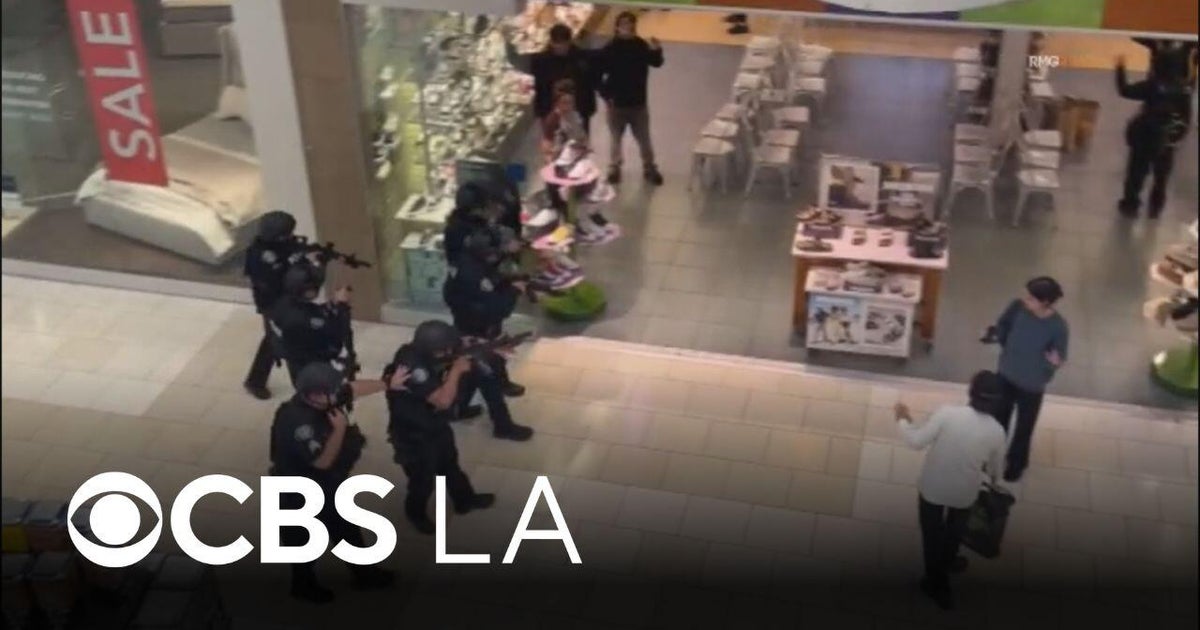 Streamer caught in the middle of dangerous "swatting" prank at Arcadia ...