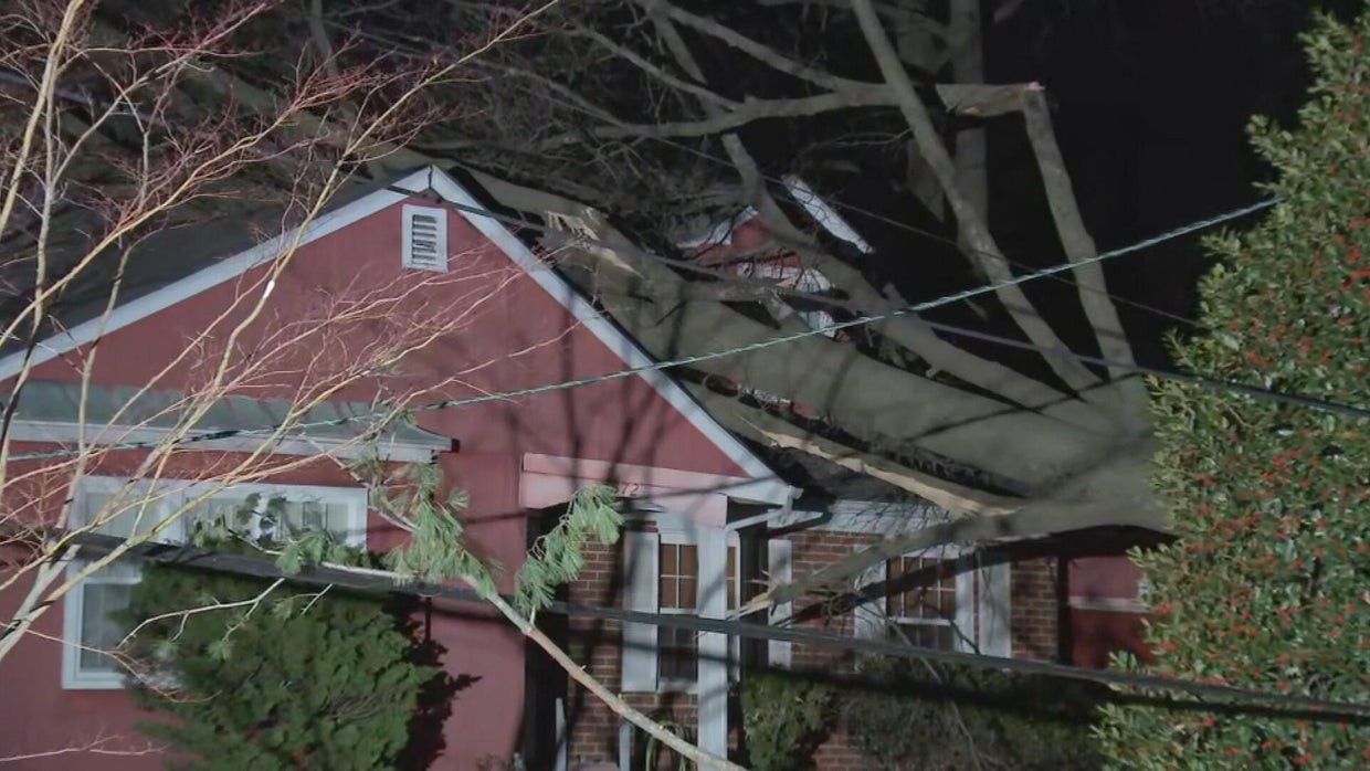 Philadelphia region cleans up after storms knock down trees, power ...