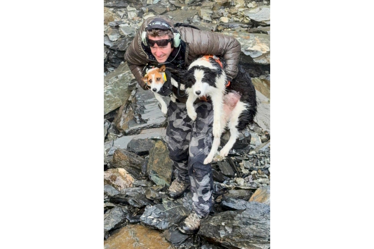 Injured hiker's dog rescued by helicopter week after getting lost in ...