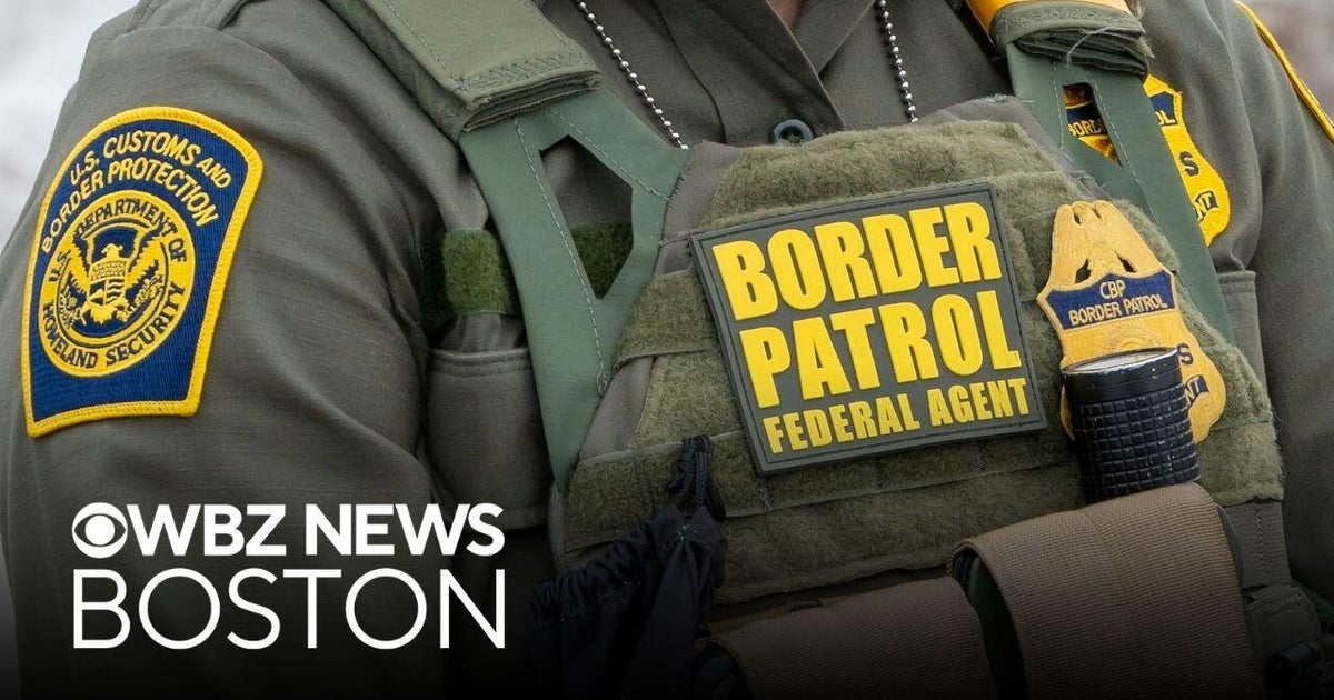 Homeland Security secretary suggests pulling custom officers from ...
