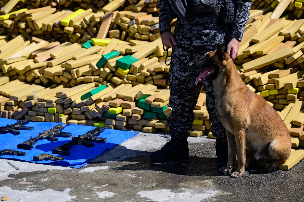 Police dog named Hulk sniffs out 48 tons of marijuana in record bust in ...